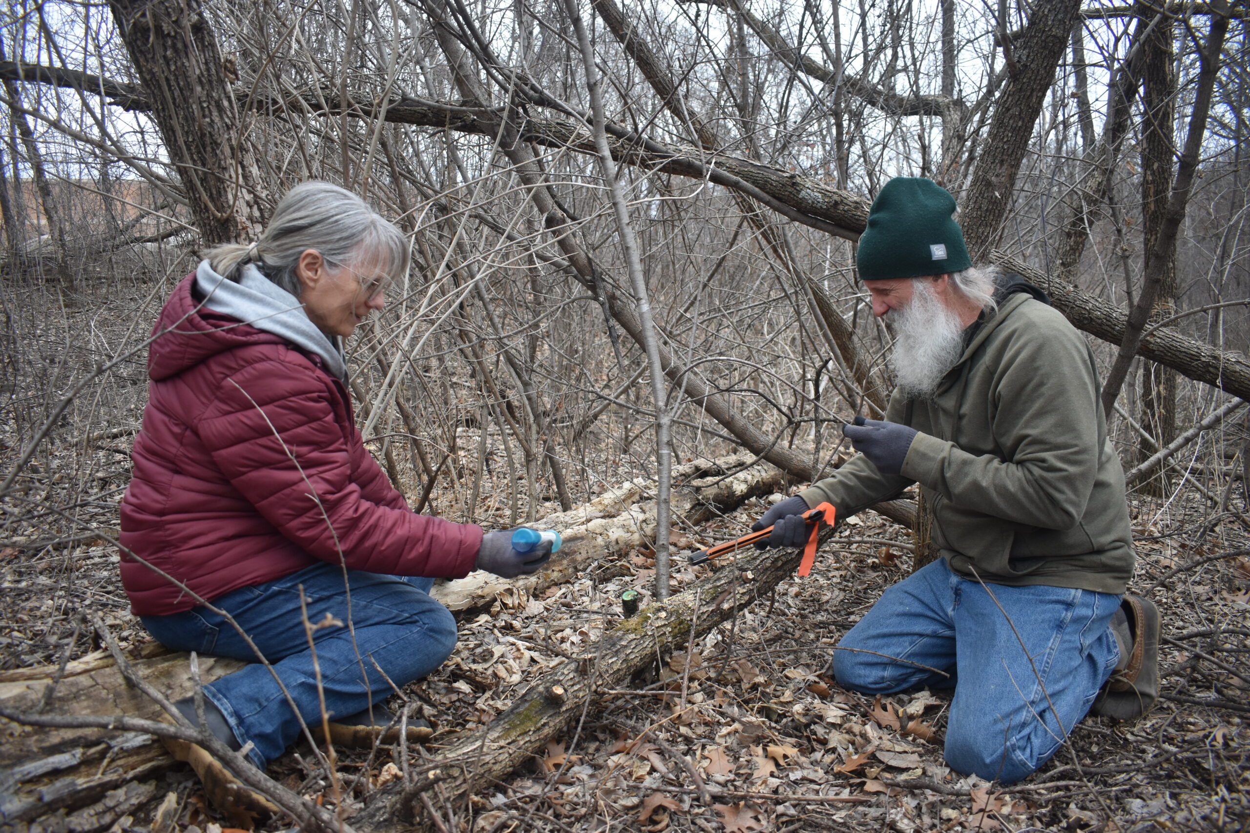 Residents urged to learn about invasive species | News, Sports, Jobs ...